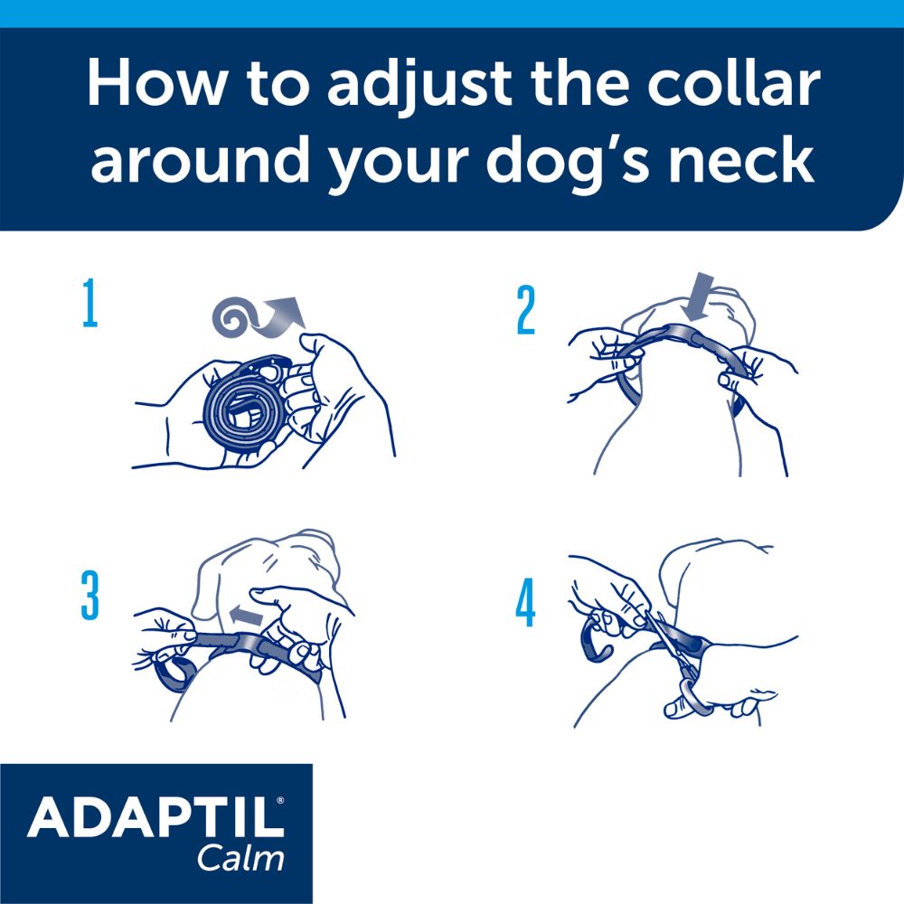 ADAPTIL Calm Collar | Dog Calming Collar | Shop Online
