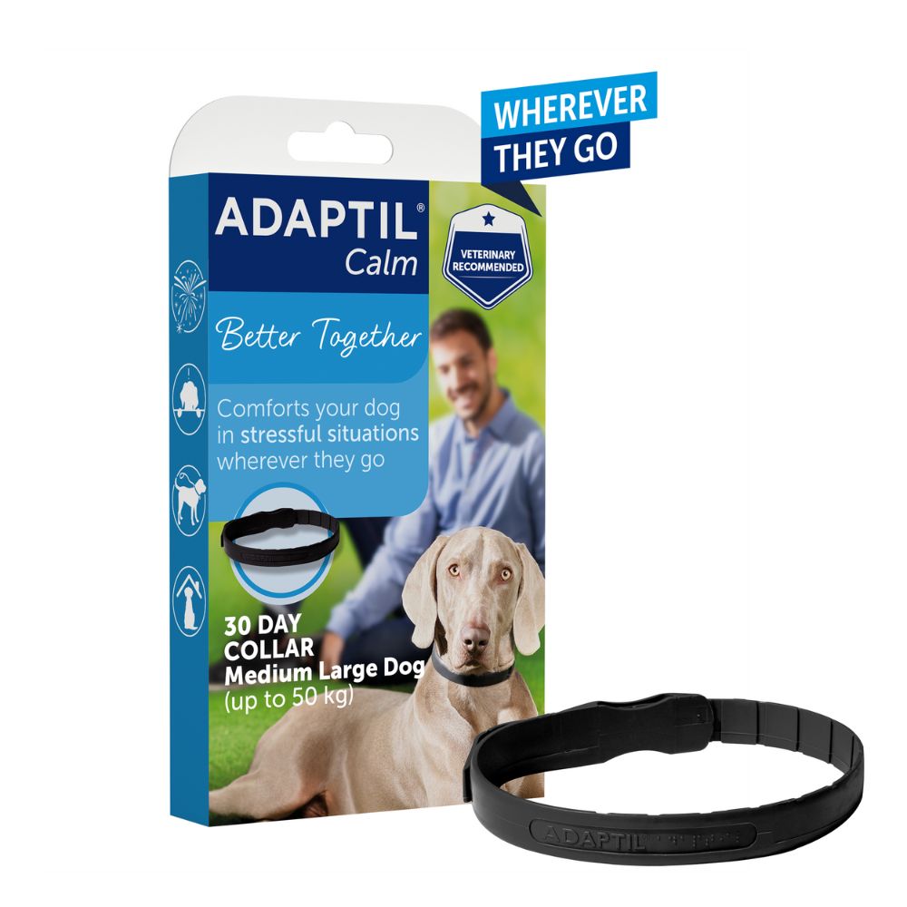 ADAPTIL Calm Collar | Dog Calming Collar | Shop Online