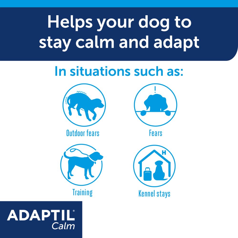 ADAPTIL Calm Collar | Dog Calming Collar | Shop Online