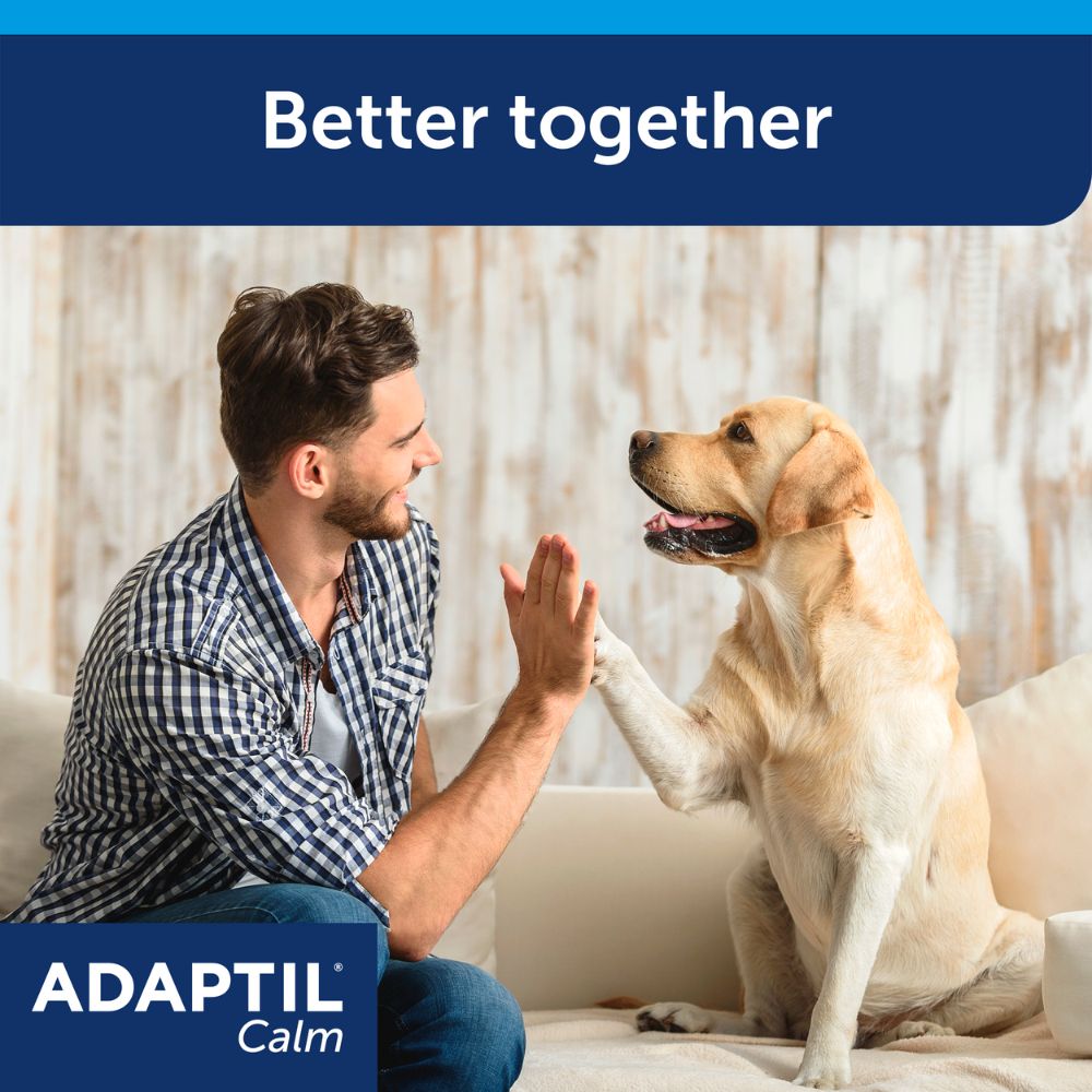 ADAPTIL Calm Starter Kit | Dog Calming Plug-In Diffuser