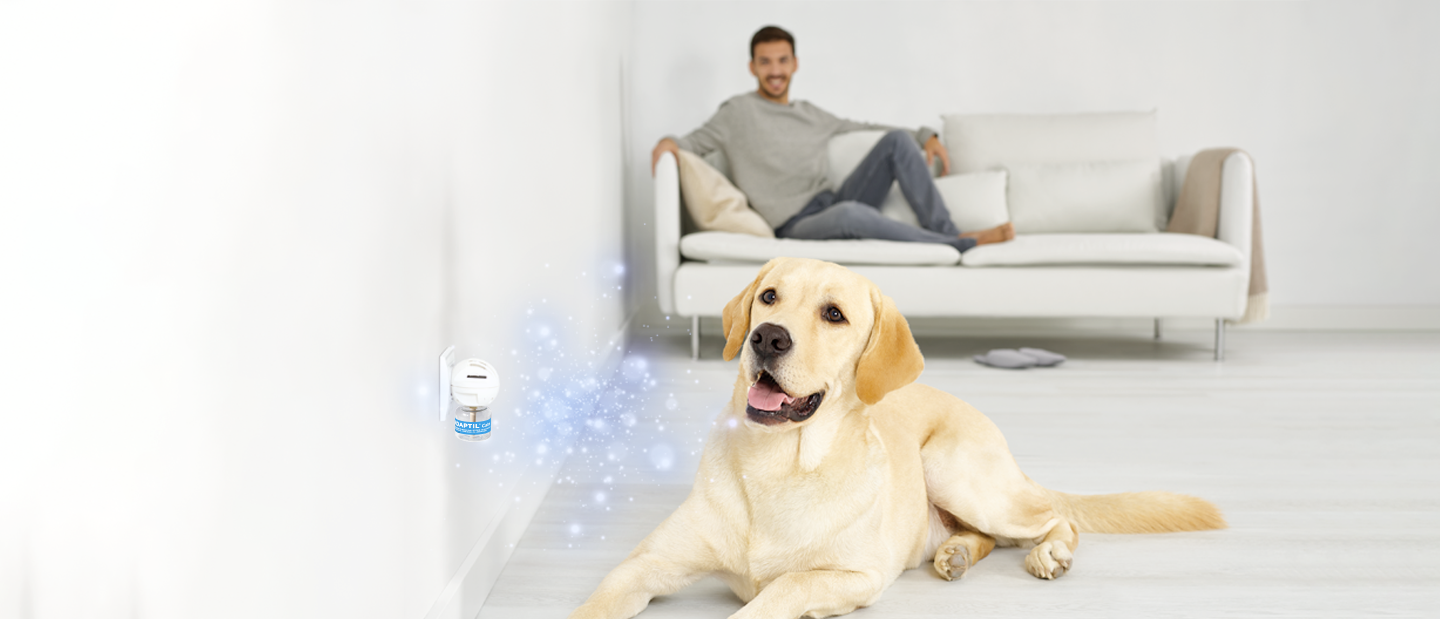 ADAPTIL Calm | Dog Calming Plug-In Diffuser