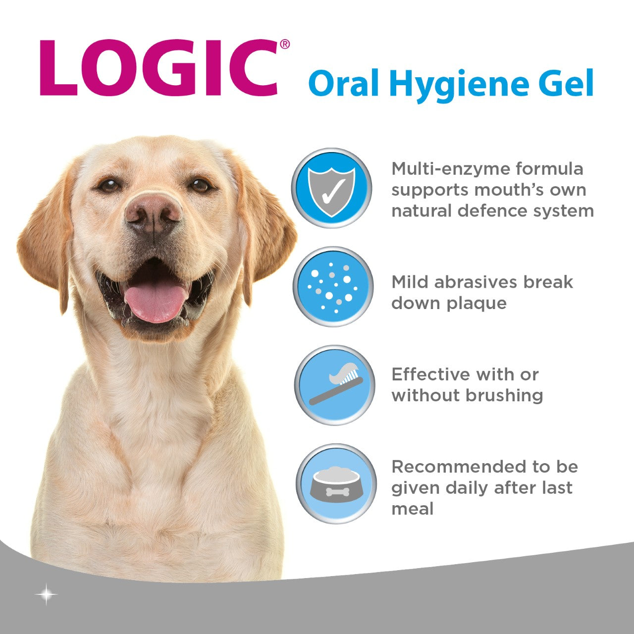 LOGIC Oral Hygiene Gel | Dental Toothpaste | Dogs and Cats