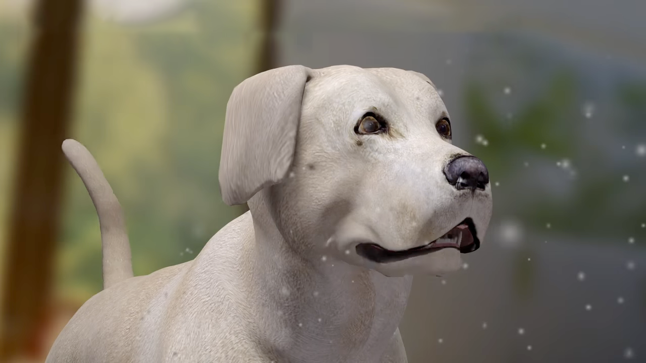 What Are Dog Appeasing Pheromones? | ADAPTIL