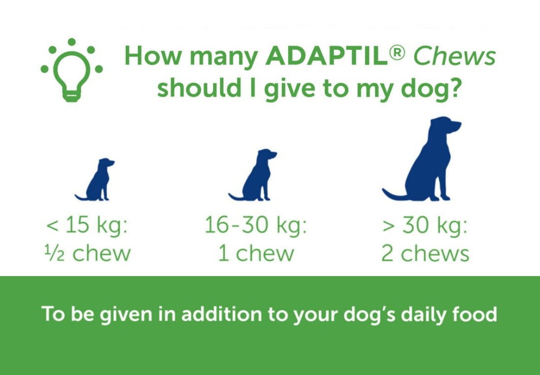 ADAPTIL Chew | Dog Calming Treats | Shop Online