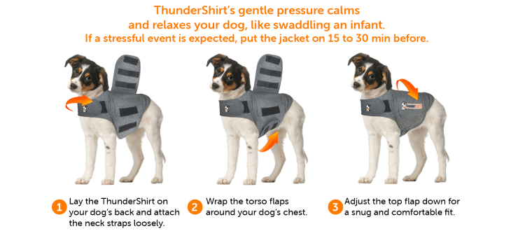 ThunderShirt For Dogs | Anxiety Calming Jacket | Buy Online